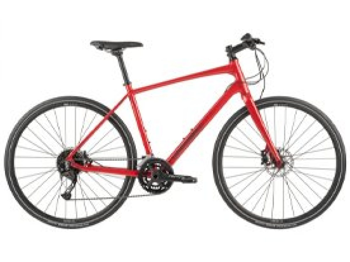 Cape Breton Island’s Cabot Trail Cycling Tour - Pedal & Sea Adventures